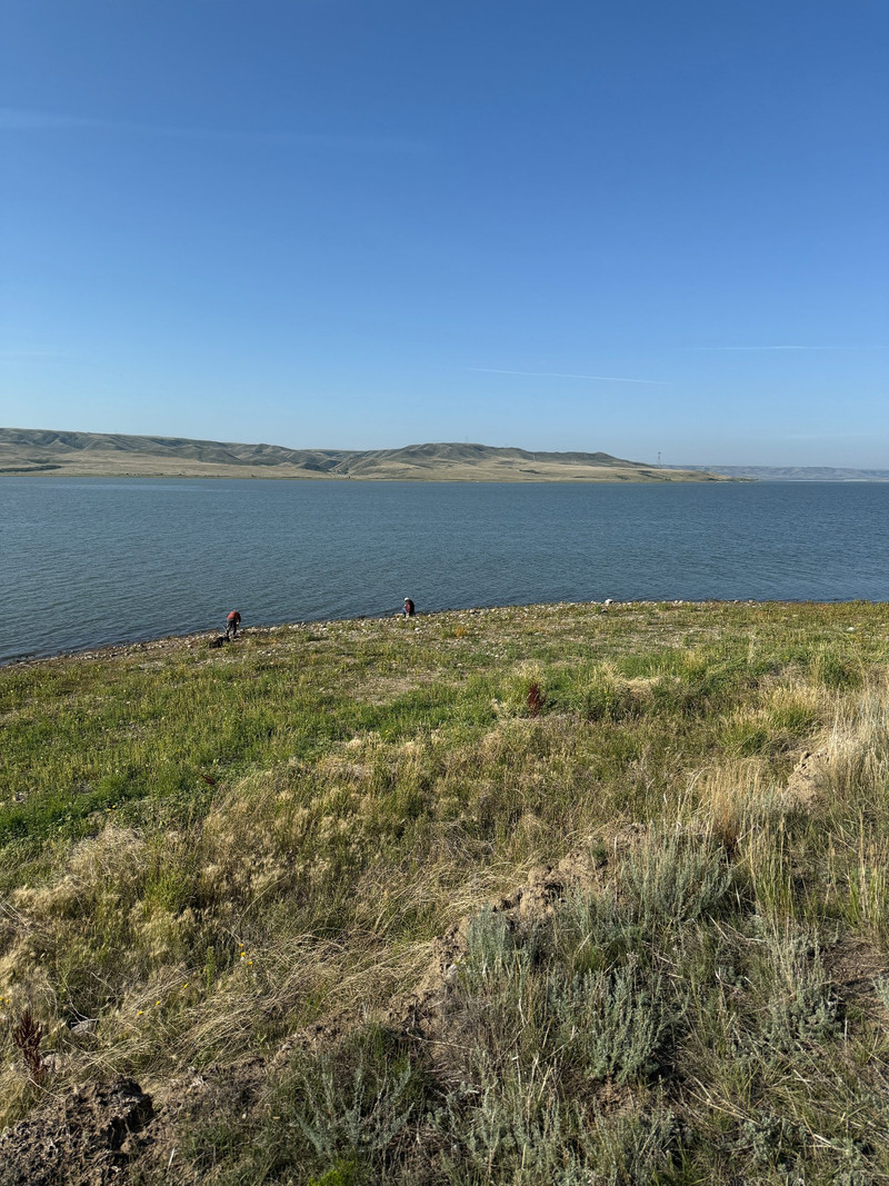 Lake Diefenbaker - SaskLakes