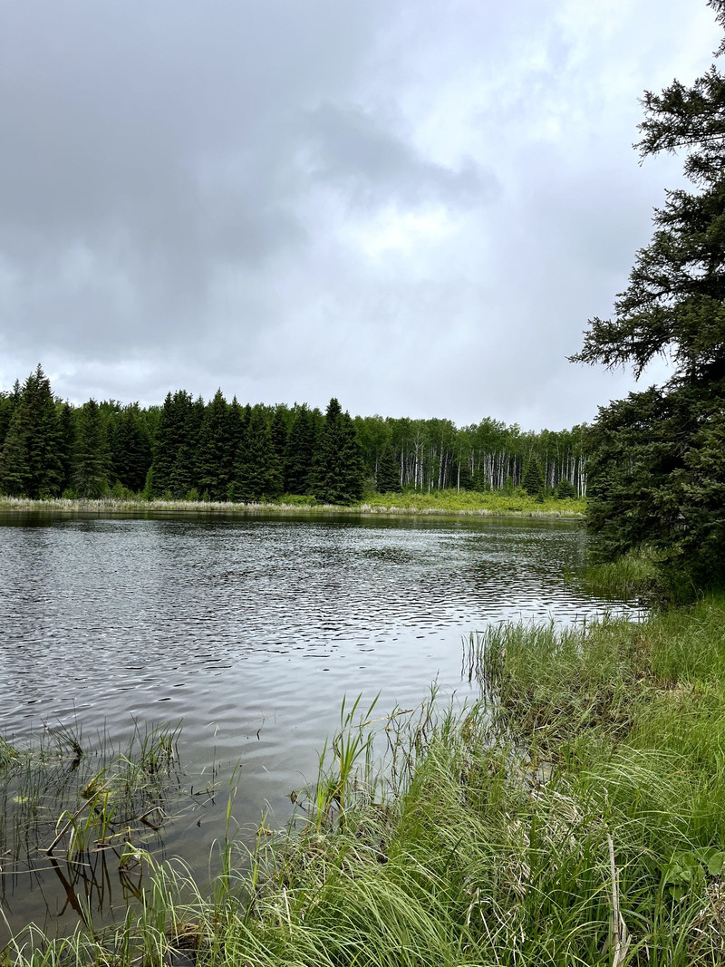Cowan Lake - SaskLakes