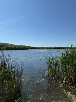 Cabri Reservoir - SaskLakes