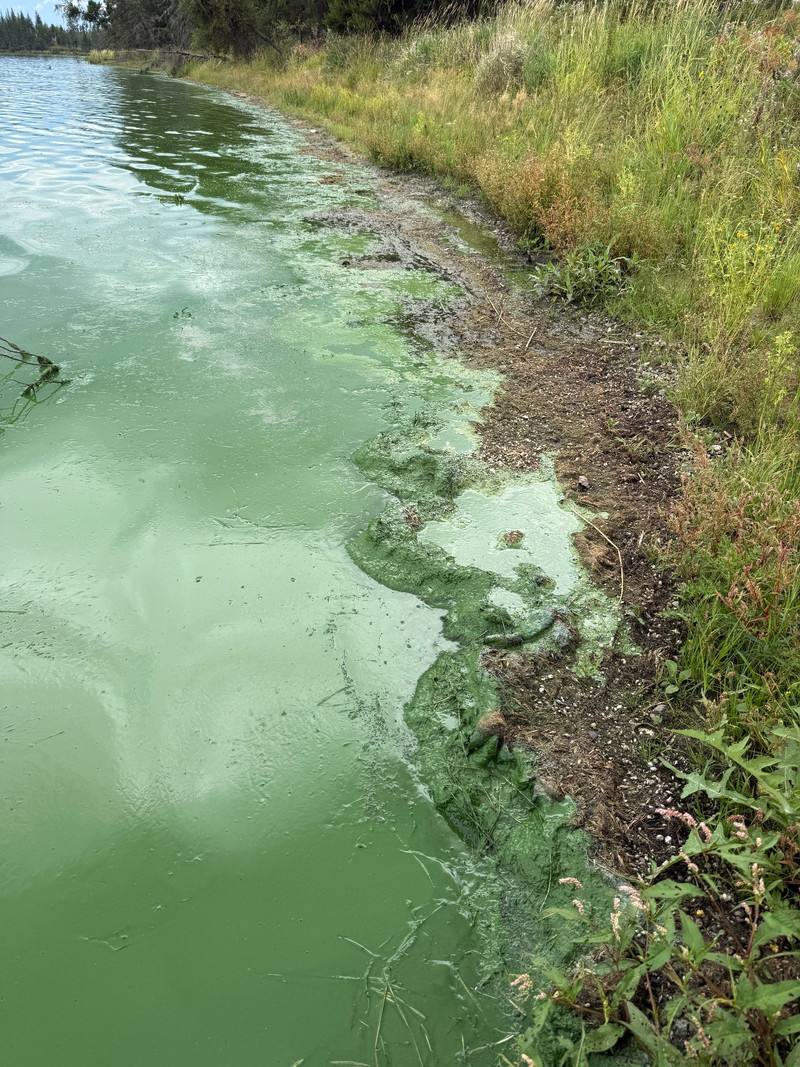 Pagan Lake - SaskLakes