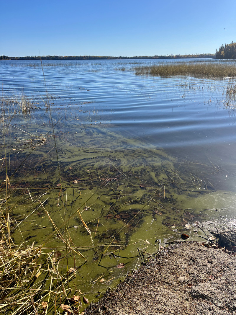 Potato Lake - SaskLakes