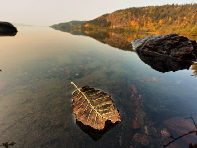 Beaverlodge Lake - SaskLakes