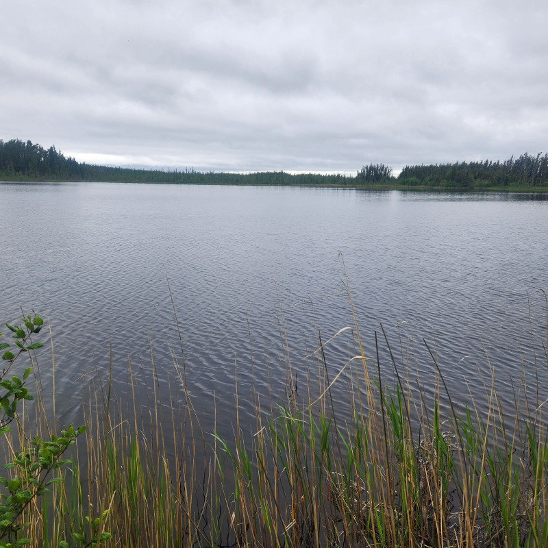 Junction Lake - SaskLakes