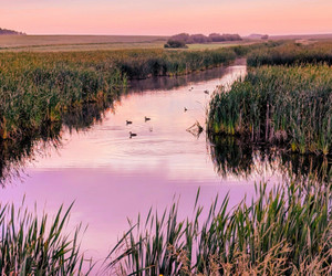 Explore Saskatchewan Lakes with Maps, Conditions & Photos - SaskLakes
