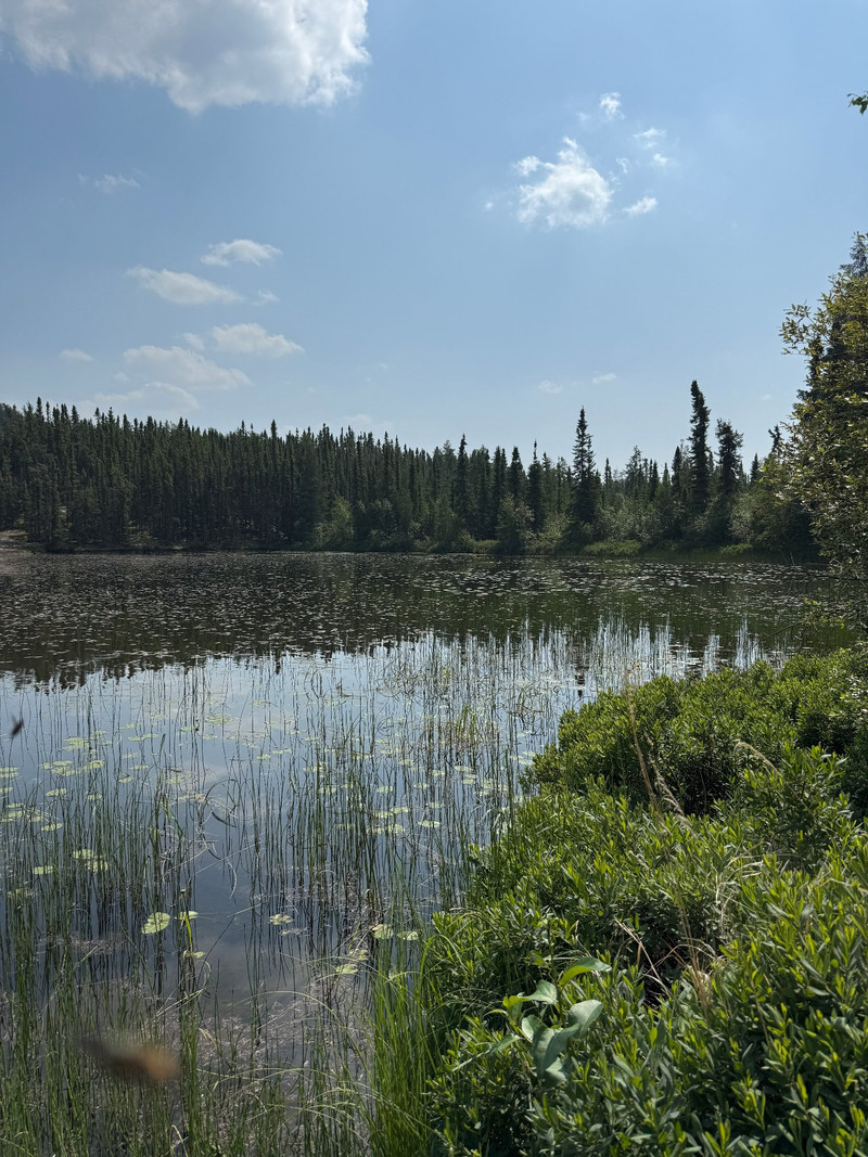 Little Deer Lake - SaskLakes
