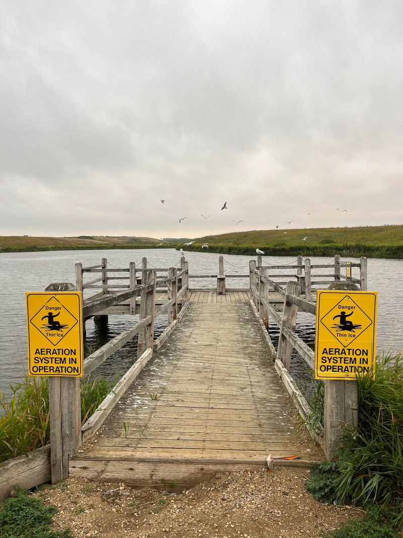 Buffalo Pound Trout Pond - SaskLakes