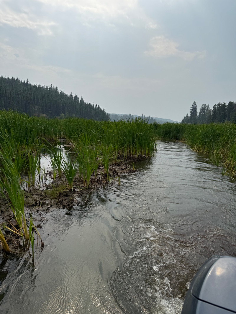 Chicken Lake - SaskLakes